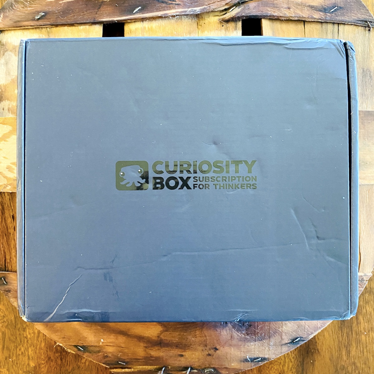 Curiosity Box Review – Summer 2024 | My Subscription Addiction