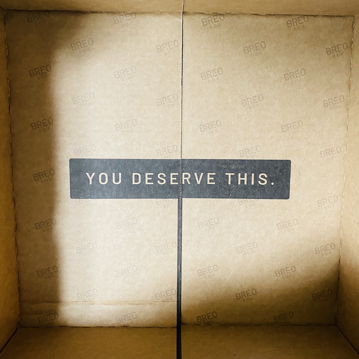 BREO BOX Review — Summer 2024 | My Subscription Addiction