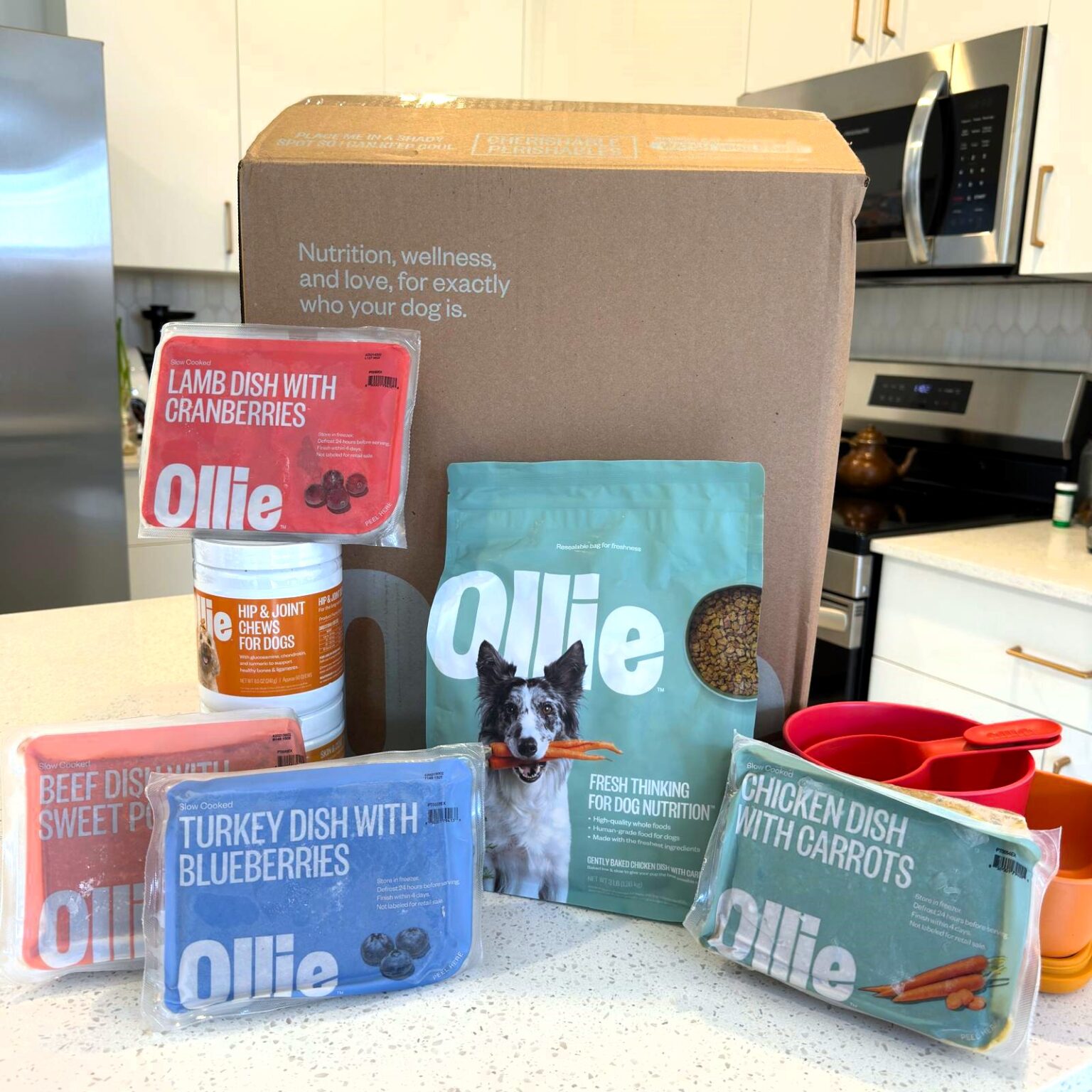 First Impressions: Ollie Dog Food | My Subscription Addiction