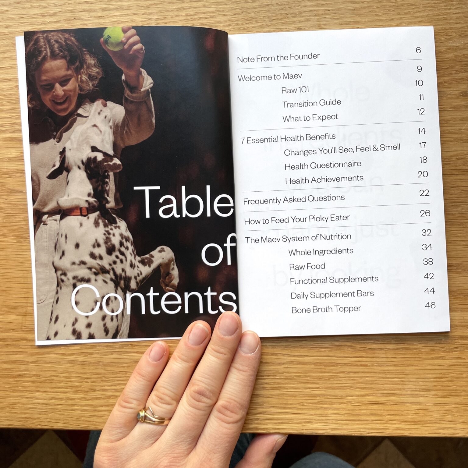 First Impressions: Maev Dog Food Review | MSA