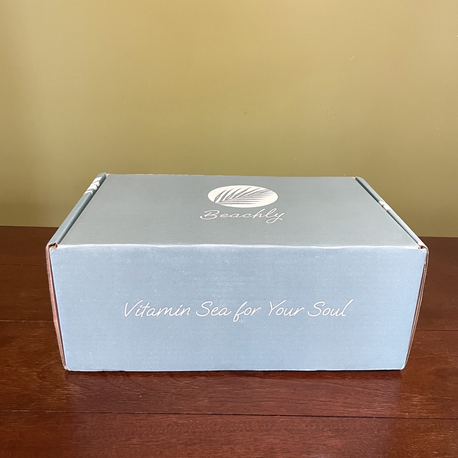 Beachly Lifestyle Box Review Summer 2025 | My Subscription Addiction