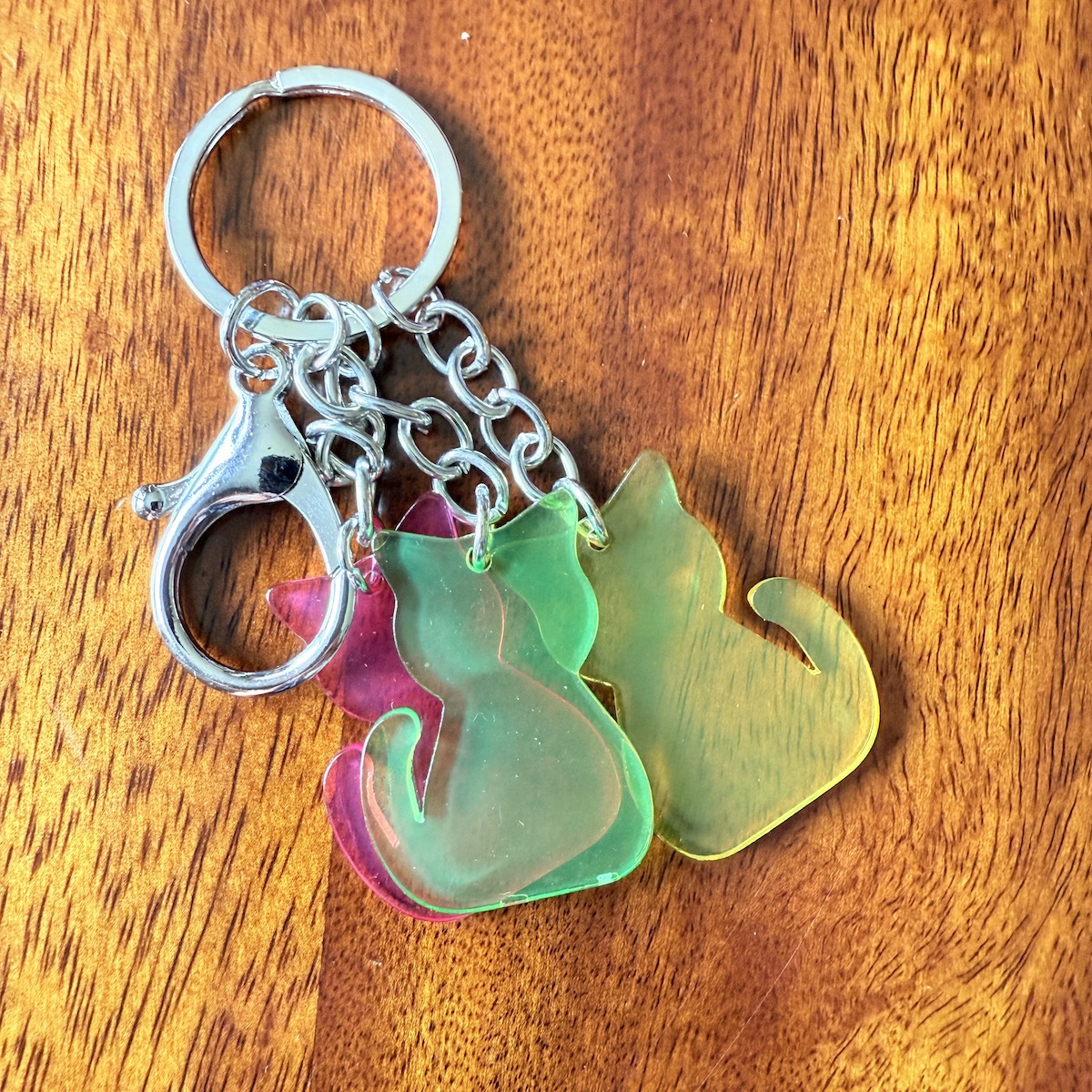 CatLadyBox Review “Cat Lady” July 2025 | My Subscription Addiction