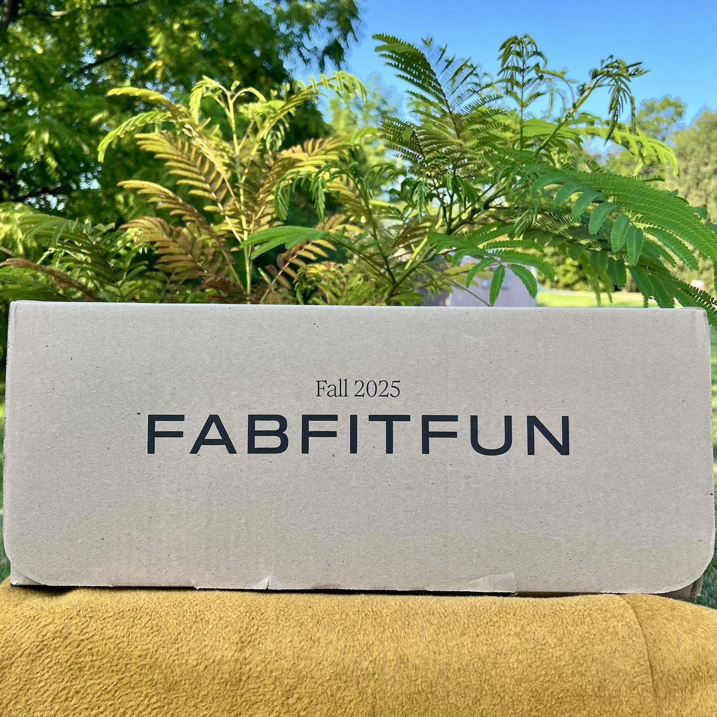 FabFitFun Subscription Fall 2025 Review | MSA