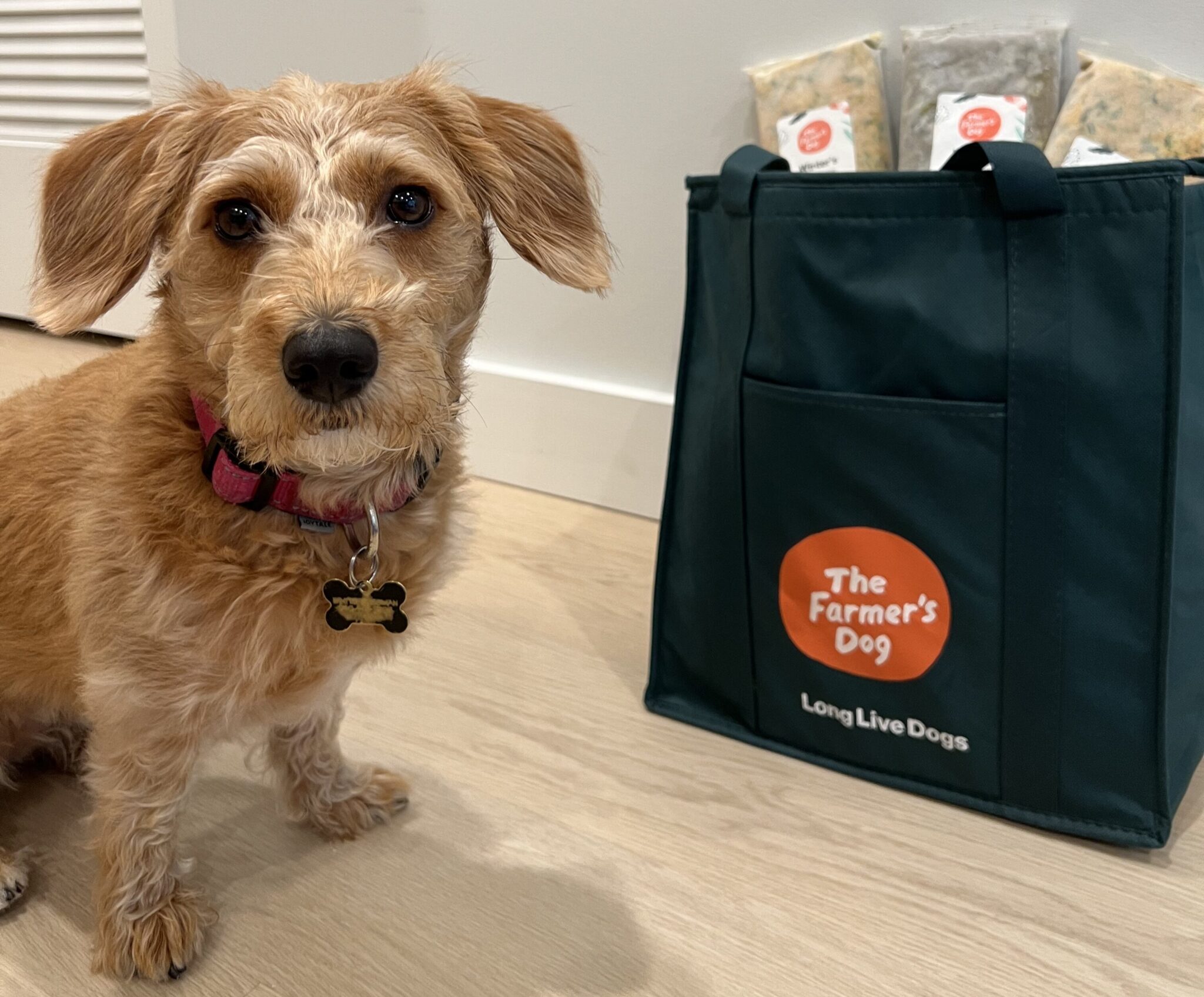 5 Reasons My Dog Would Never Forgive Me If I Switched From The Farmer’s ...